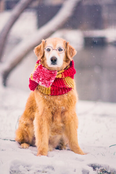 How to make your knit color block scarf extra special